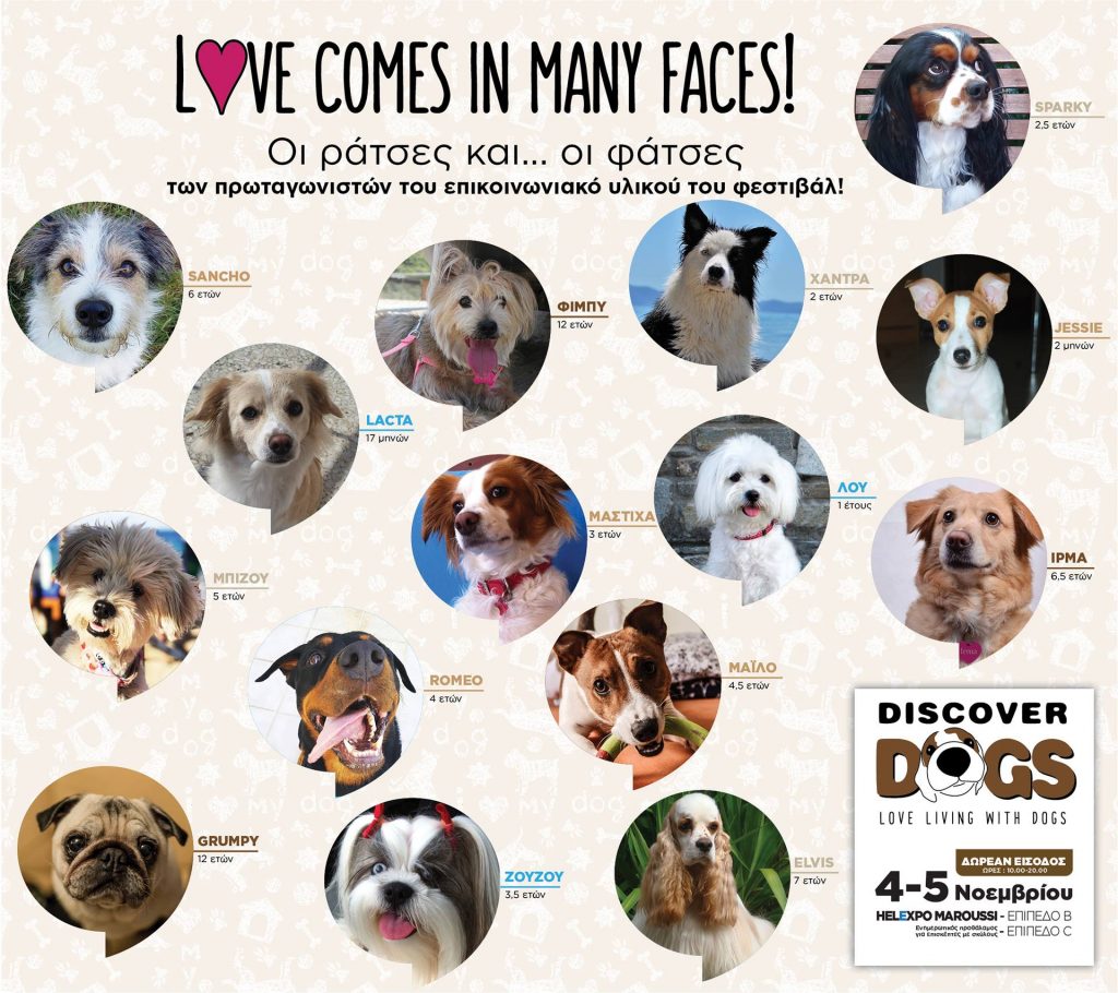 Discover Dogs 2017: Οι ζωοφιλικές οργανώσεις πρωταγωνίστριες στο ...
